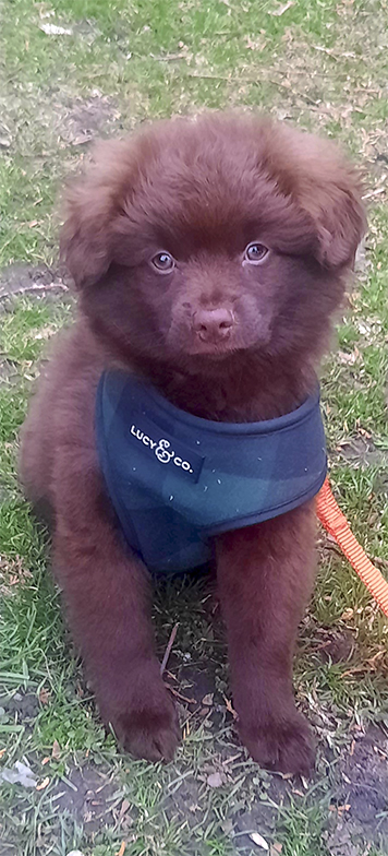 Blog | Christ Church Anglican